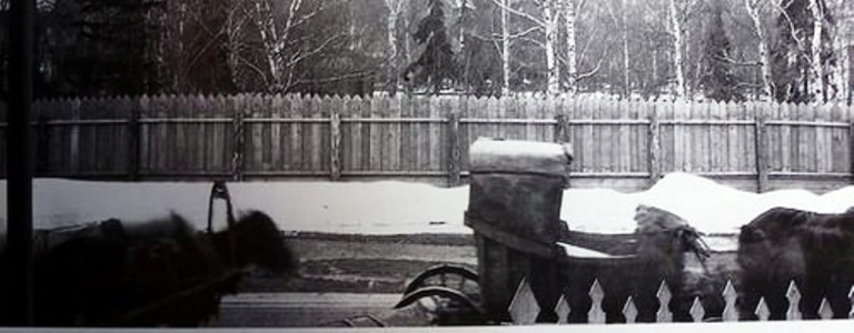 Nicholas II | Emperor Tsar Saint